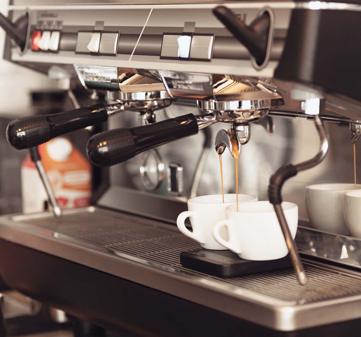 Wolf & Turtle – The Weststar Group